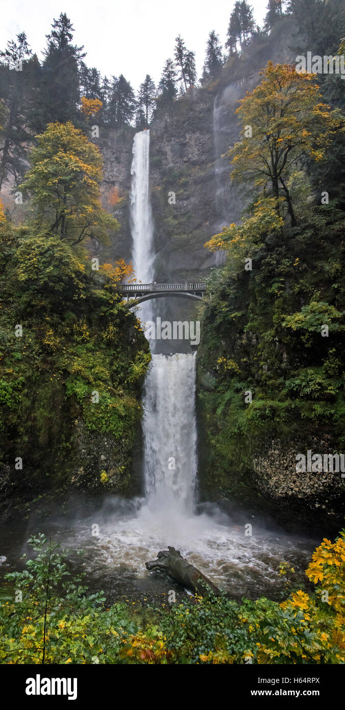 Multnomah Falls along the Historic Columbia River Gorge Highway in fall ...