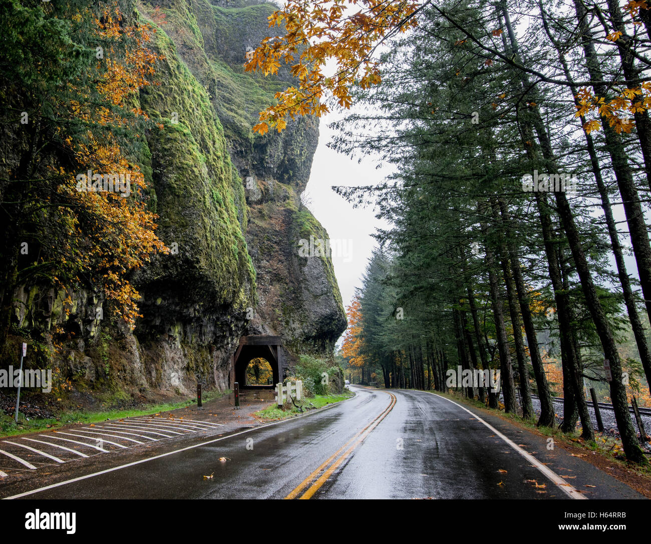 The Oneonta Tunnel along the Historic Columbia Gorge Highway Stock ...