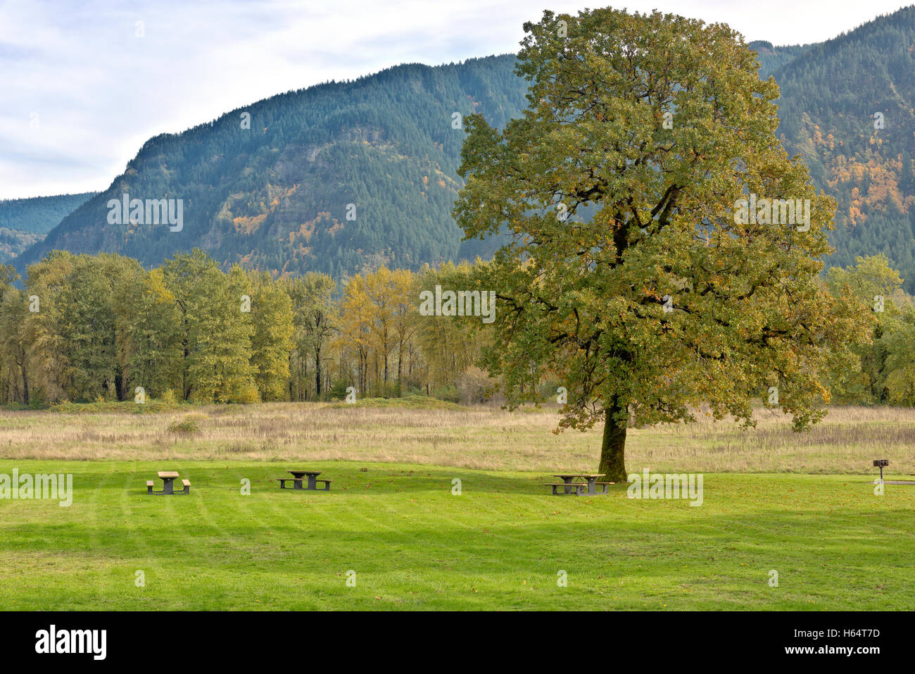 State parks and recreation Washington state Stock Photo - Alamy