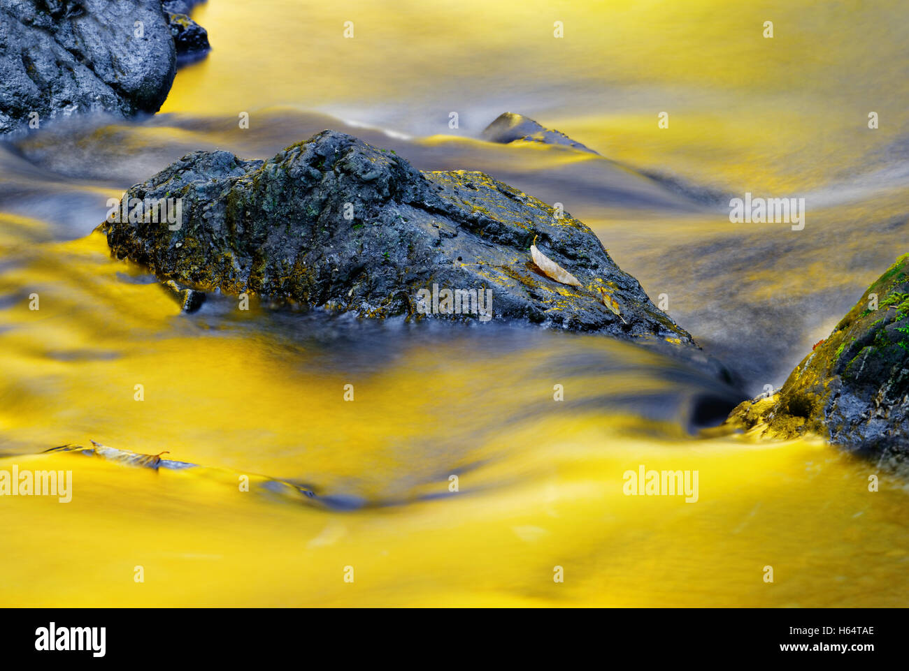 Golden color water hi-res stock photography and images - Alamy