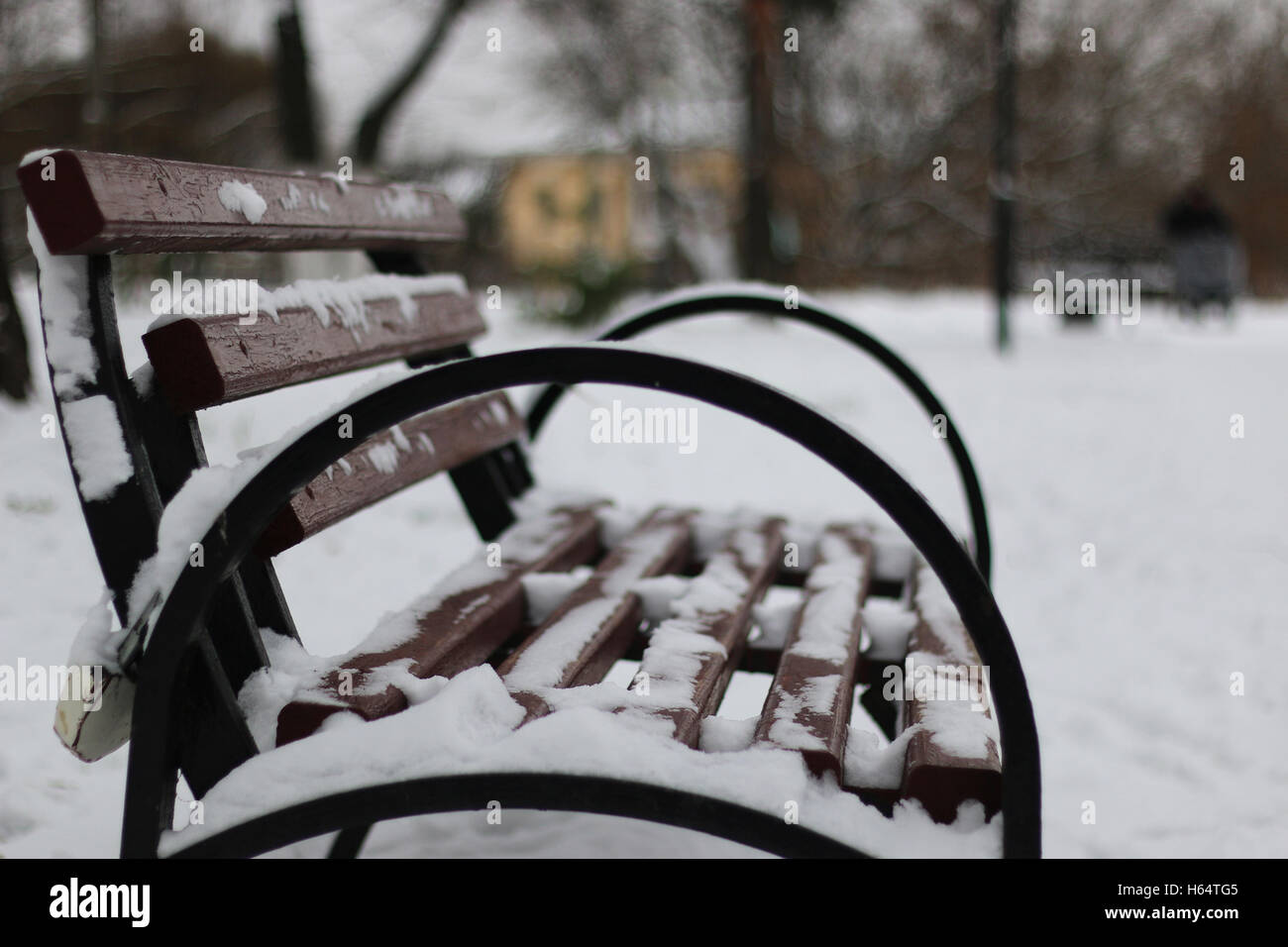 Winter bench in a park Stock Photo - Alamy