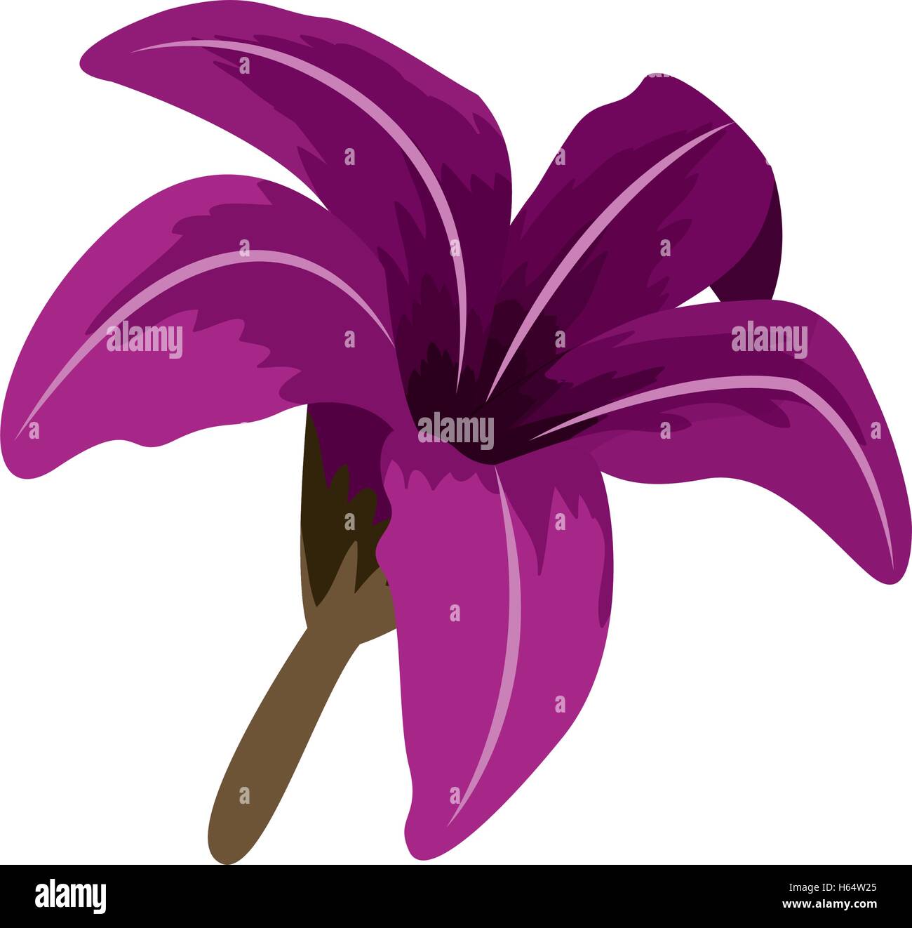 Purple trumpet shaped flower Stock Vector Images - Alamy