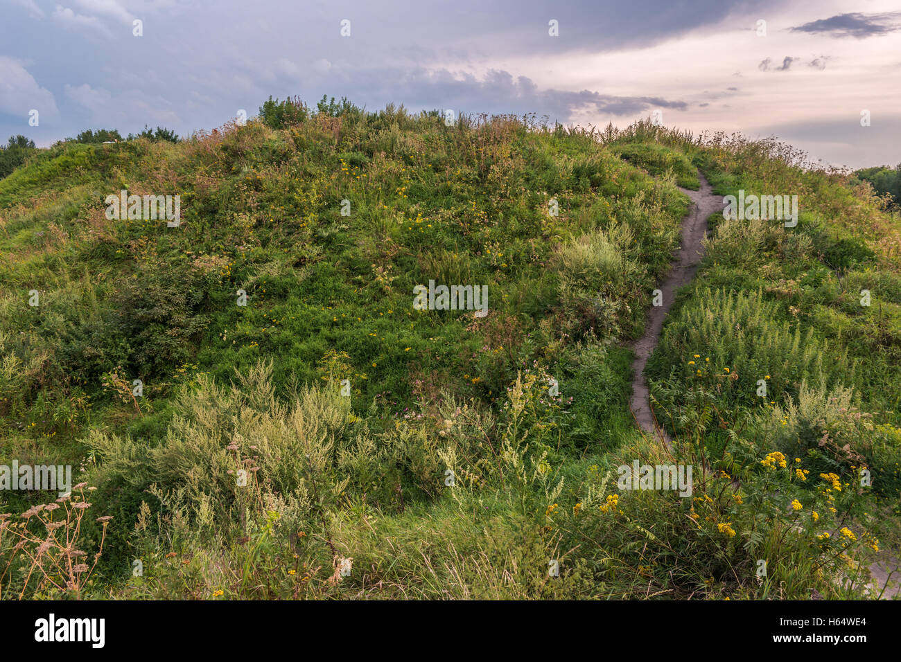 Pathway on a hill with wildflowers Stock Photo - Alamy