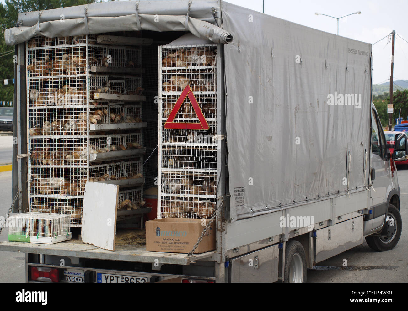 Caged Chickens for sale on lorry in Corfu Greece Stock Photo - Alamy