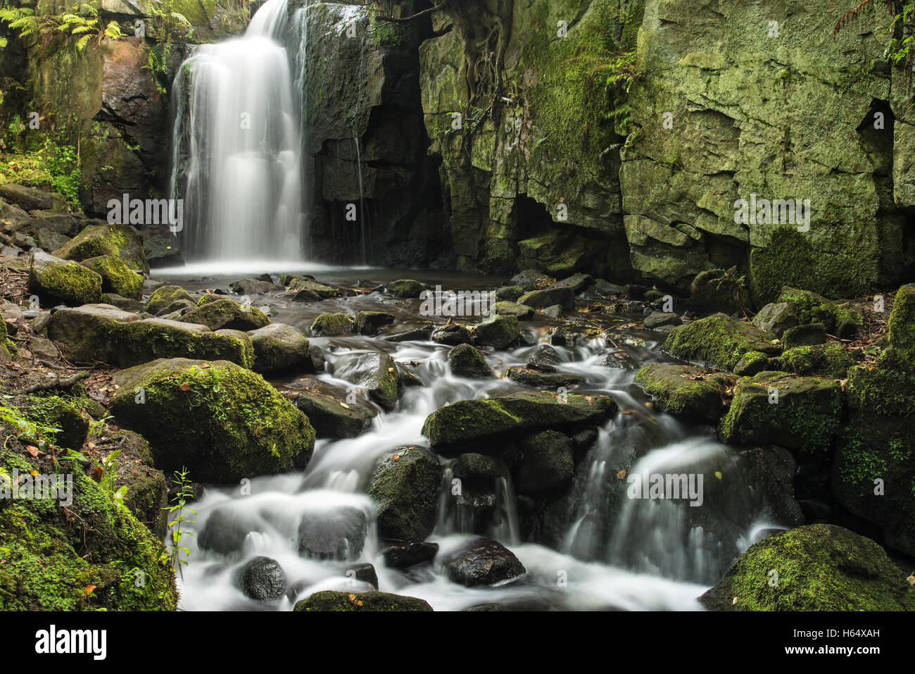 Waterfall in forest landscape long exposure flowing through trees and ...
