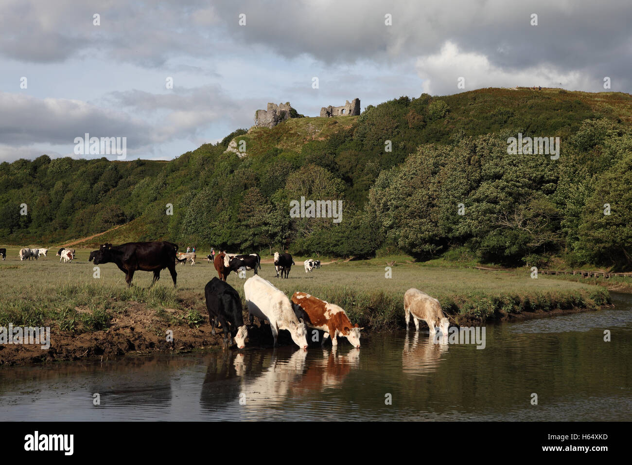 Pennard Hill High Resolution Stock Photography and Images - Alamy