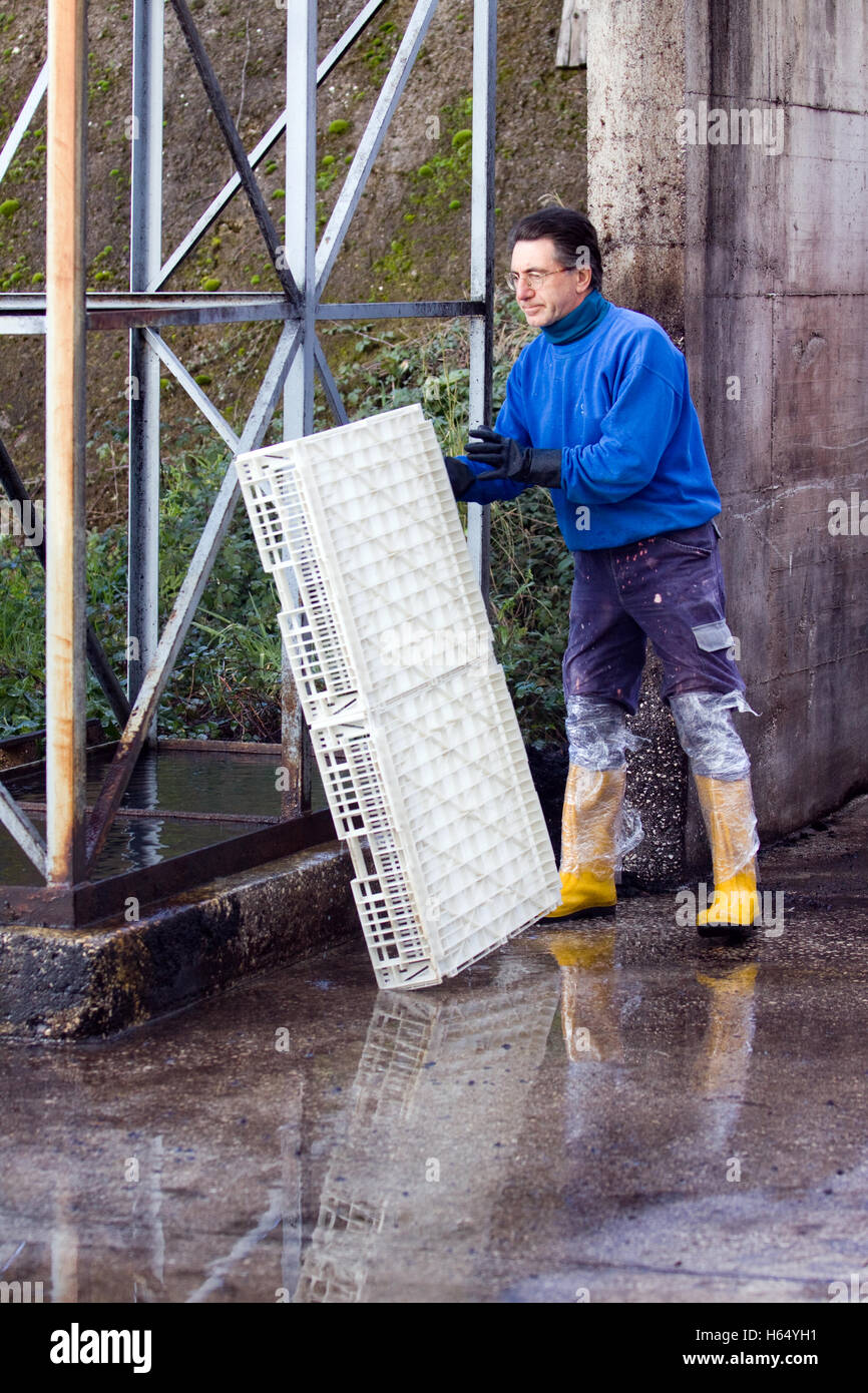 worker cleaning industrial tool with a pressure cleaner Stock Photo - Alamy