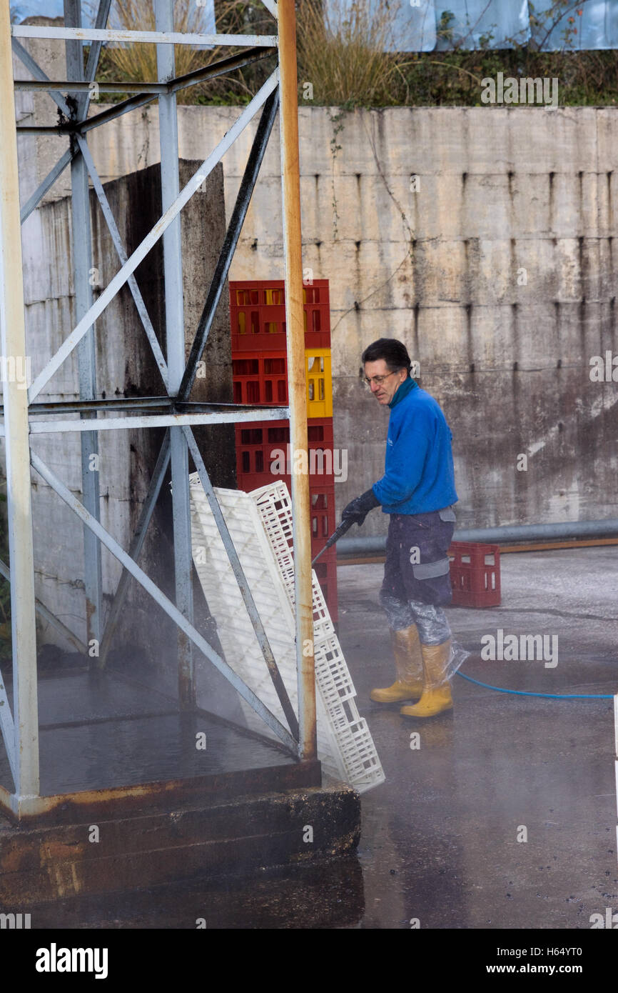 worker cleaning industrial tool with a pressure cleaner Stock Photo - Alamy