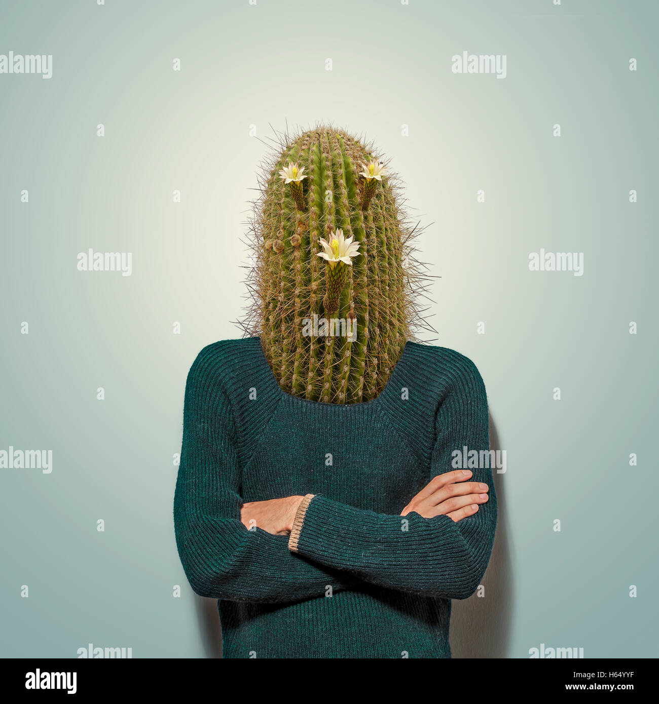 Young man with cactus head Stock Photo - Alamy
