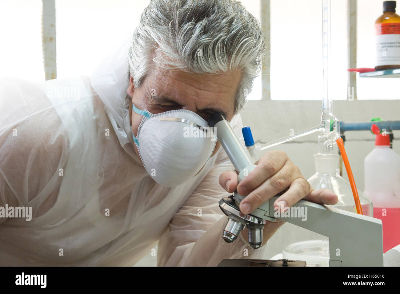 researcher at work in a laboratory Stock Photo - Alamy