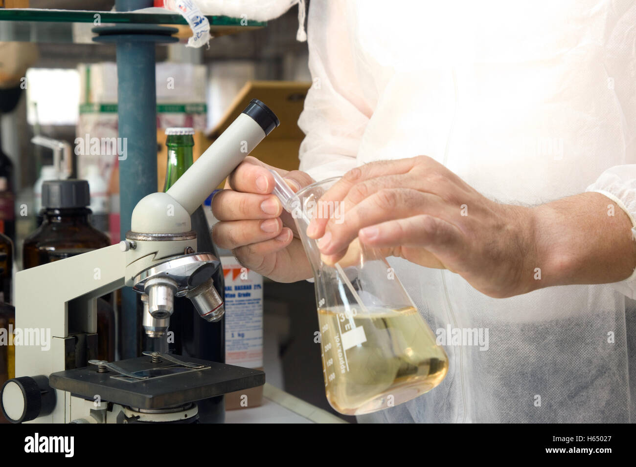 researcher at work in a laboratory Stock Photo - Alamy