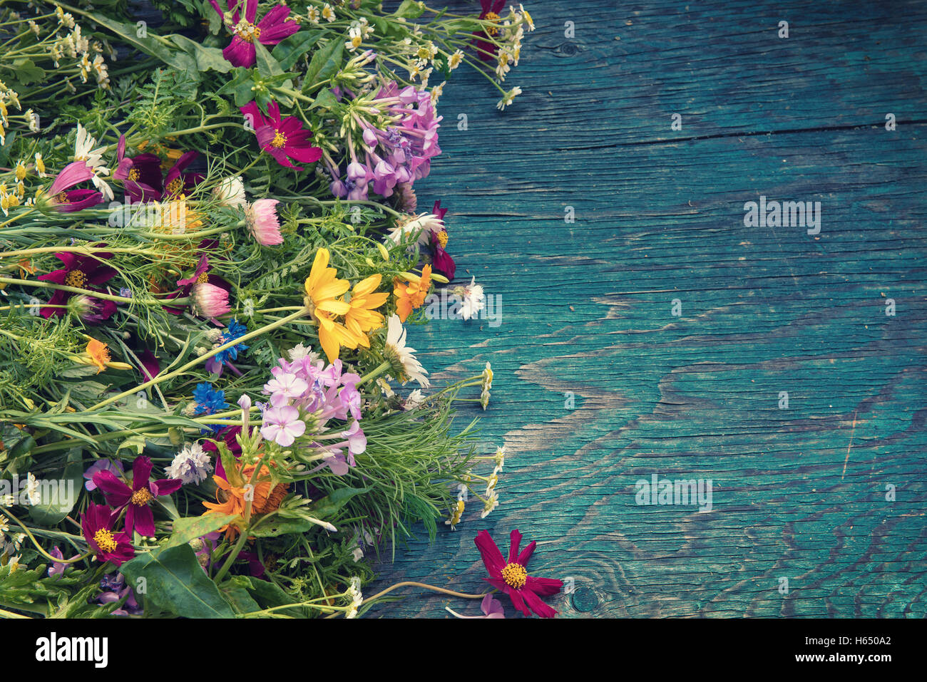 Summer flowers mock up Stock Photo - Alamy