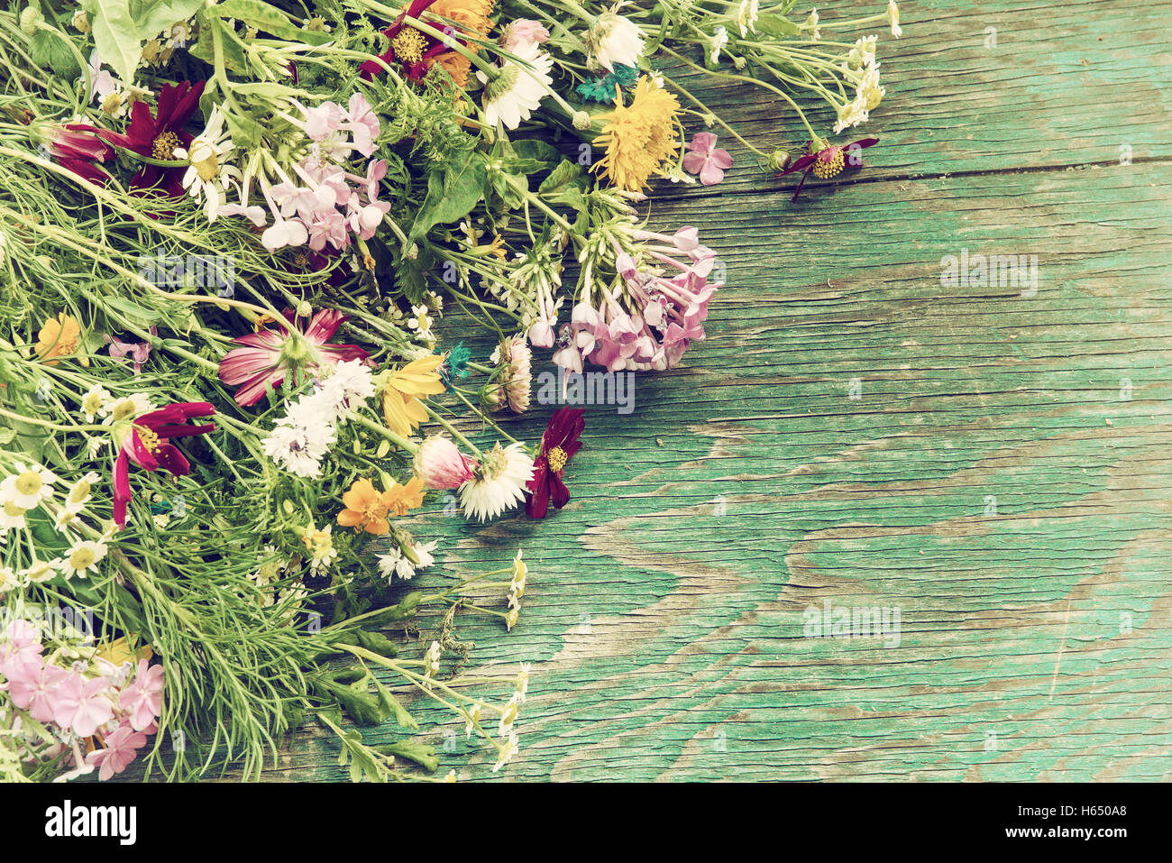 Summer flowers mock up Stock Photo - Alamy
