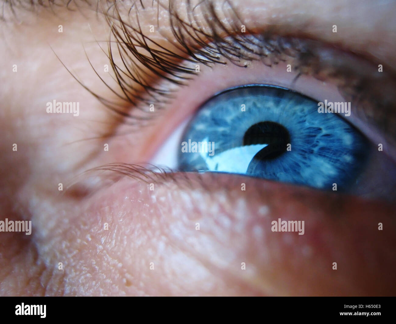 Blue eye closeup macro close up hi-res stock photography and images - Alamy