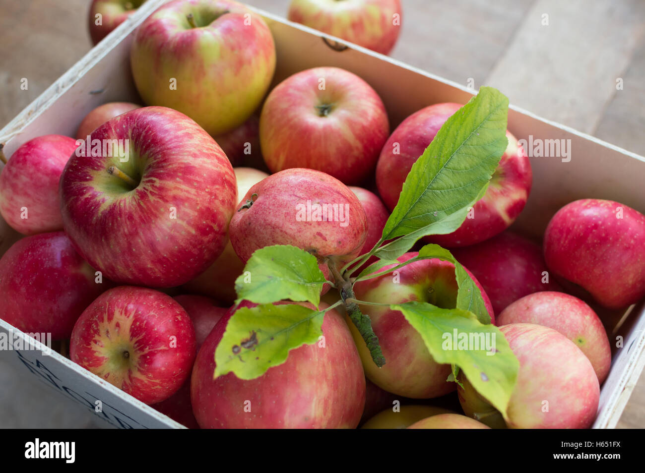 Apples in a wooden box Stock Photo - Alamy