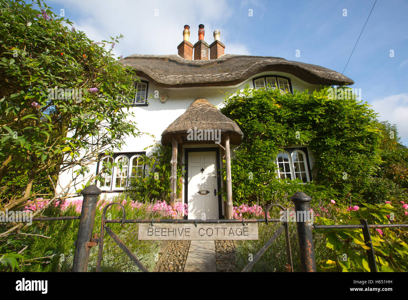Beehive Cottage, Swan Green, Lyndhurst, New Forest, Hampshire, England ...