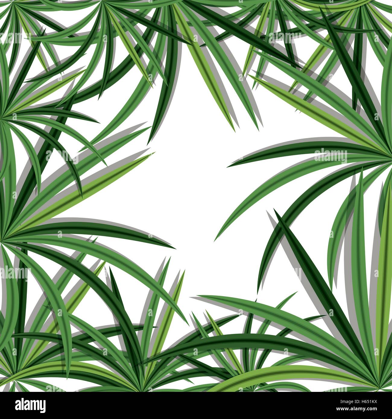 green tropical leaves Stock Vector Image & Art - Alamy