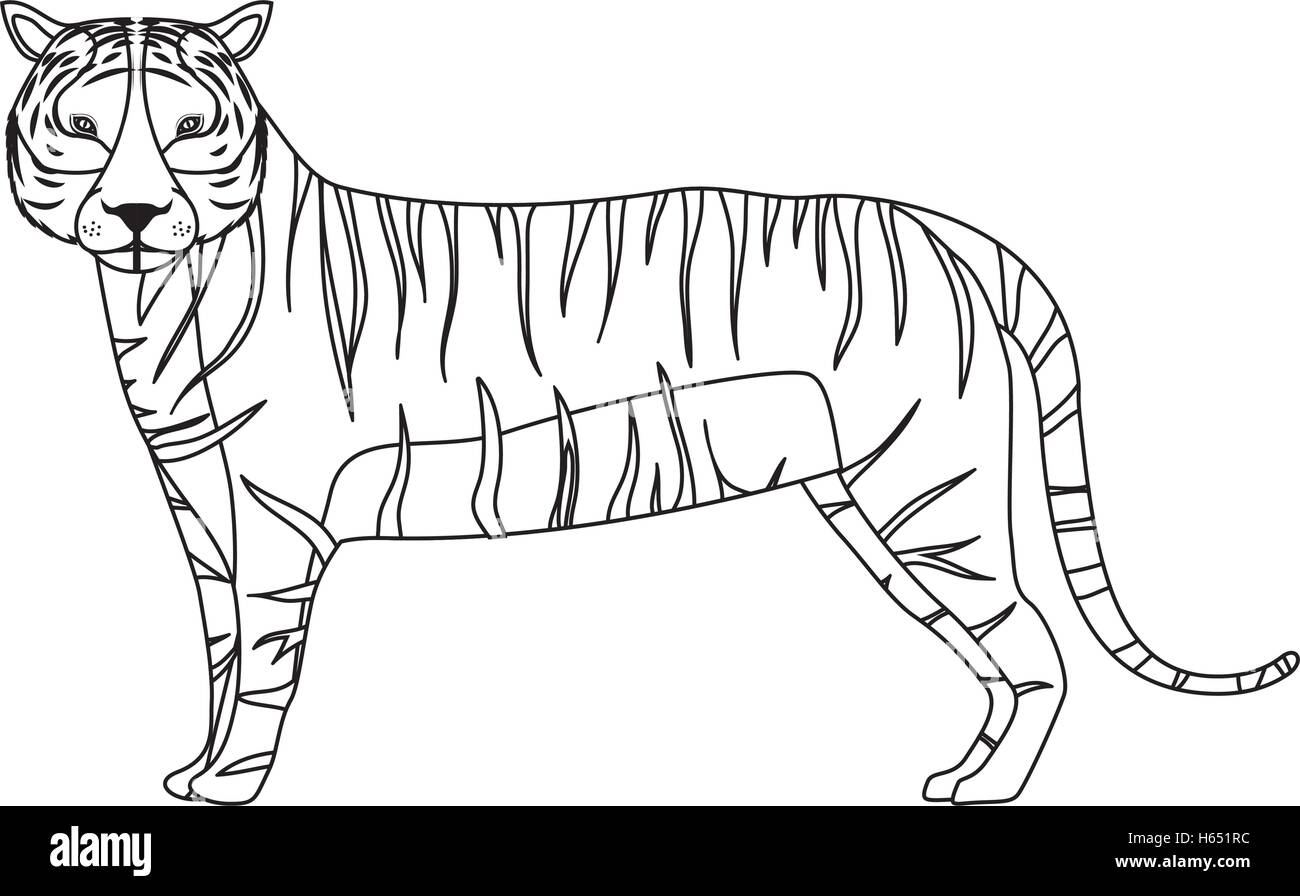 tiger wild animal Stock Vector Image & Art - Alamy