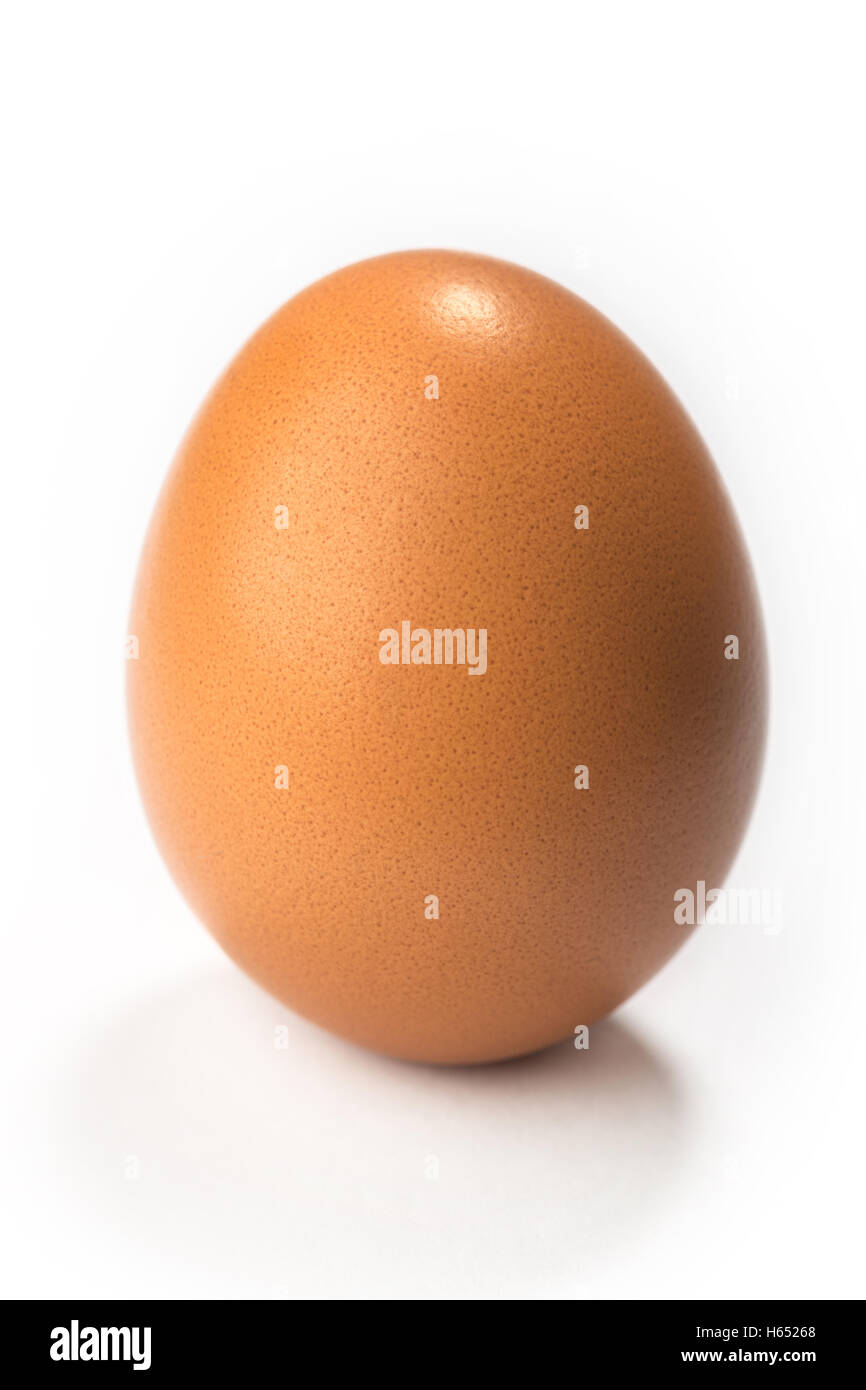 Close up of an egg isolated on white background Stock Photo - Alamy