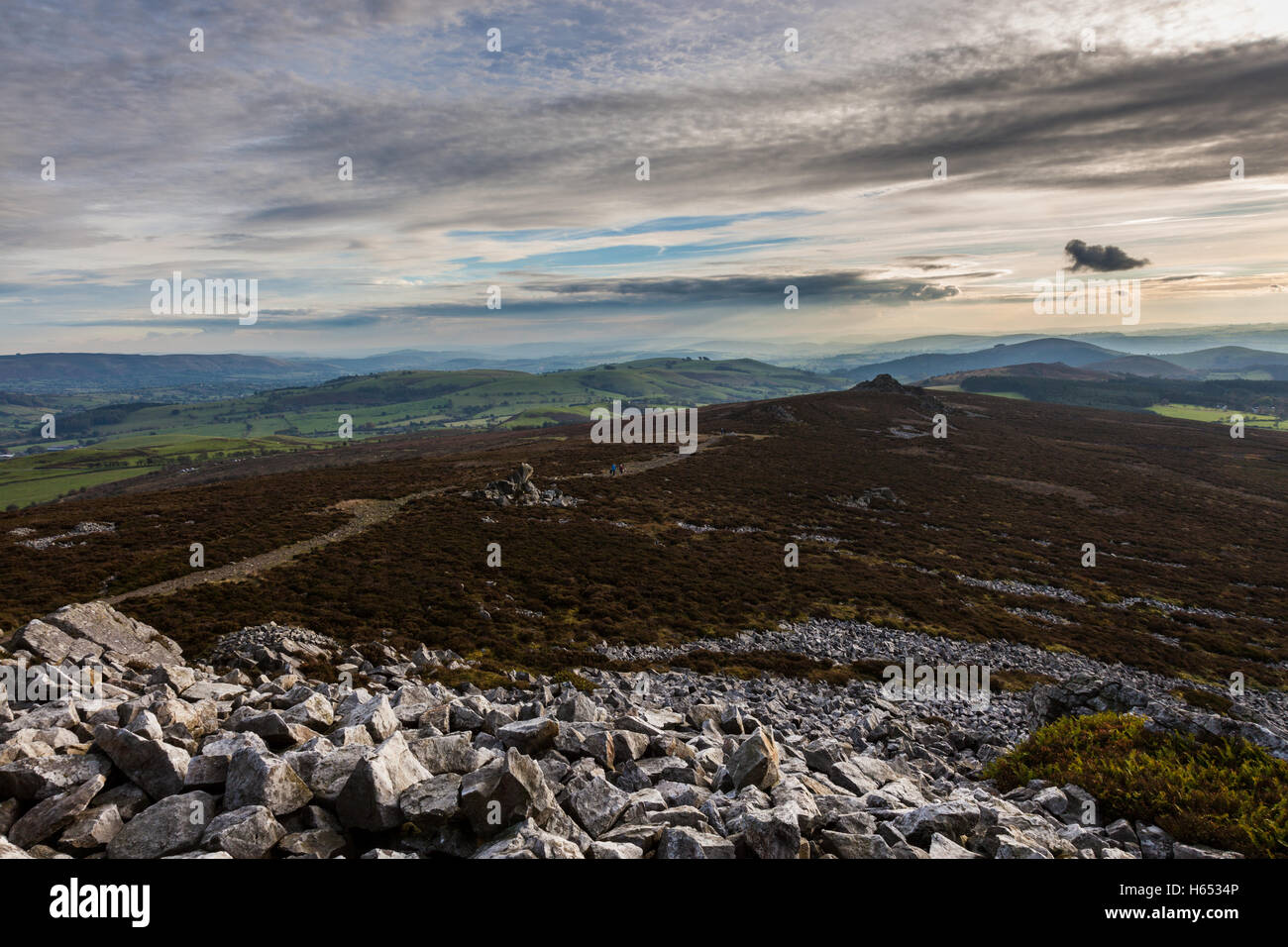The view along the quartzite ridge of the Stiperstones from Manstone ...