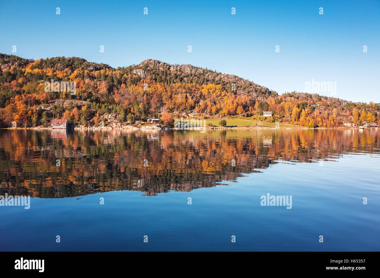 Coastal forest with reflection in still water. Norwegian landscape ...