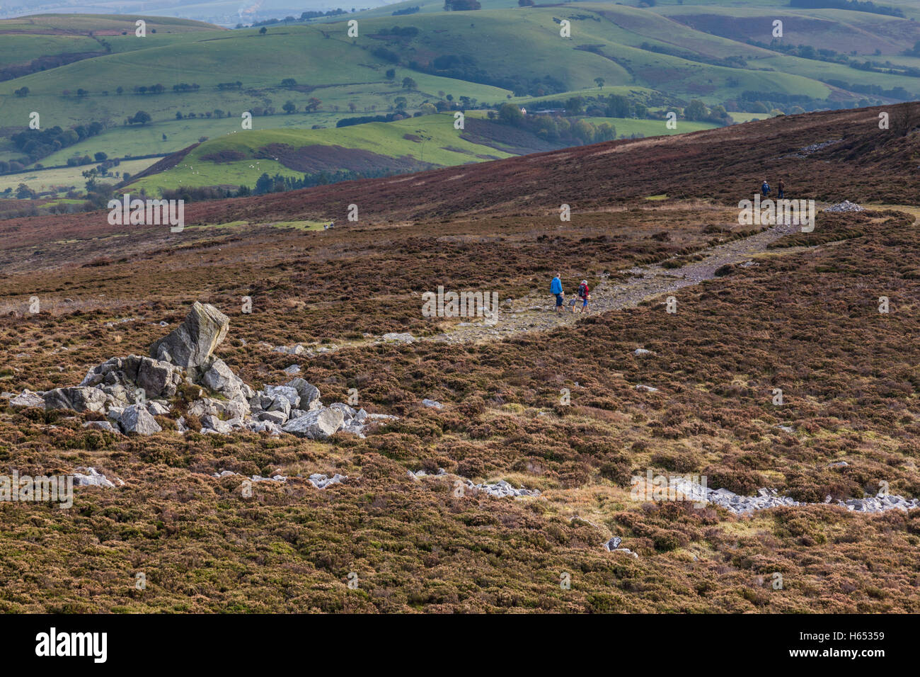 Walkers on the quartzite ridge path of the Stiperstones, Shropshire ...