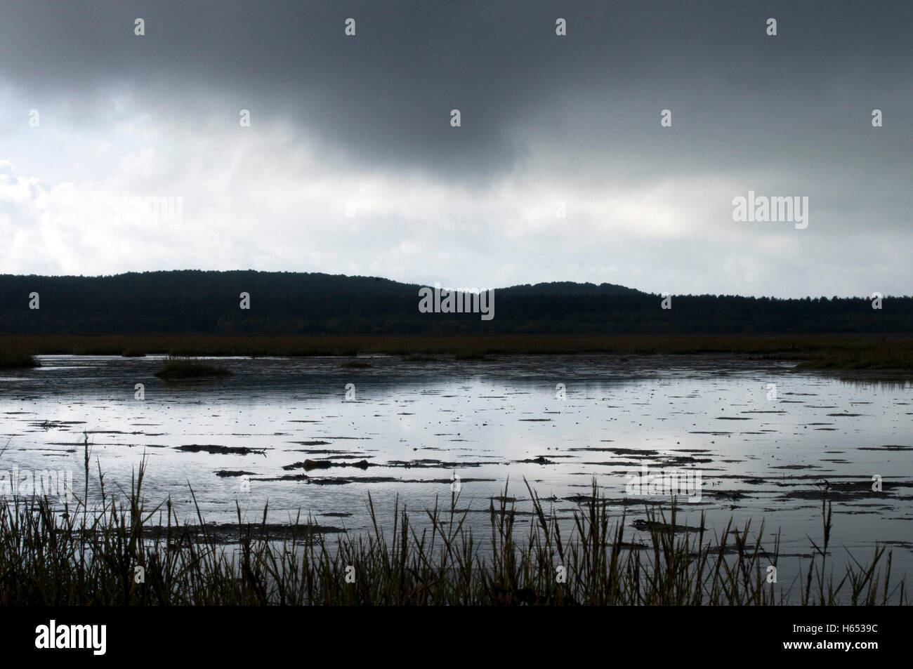 The Estuary in Rain and Cloud Stock Photo - Alamy