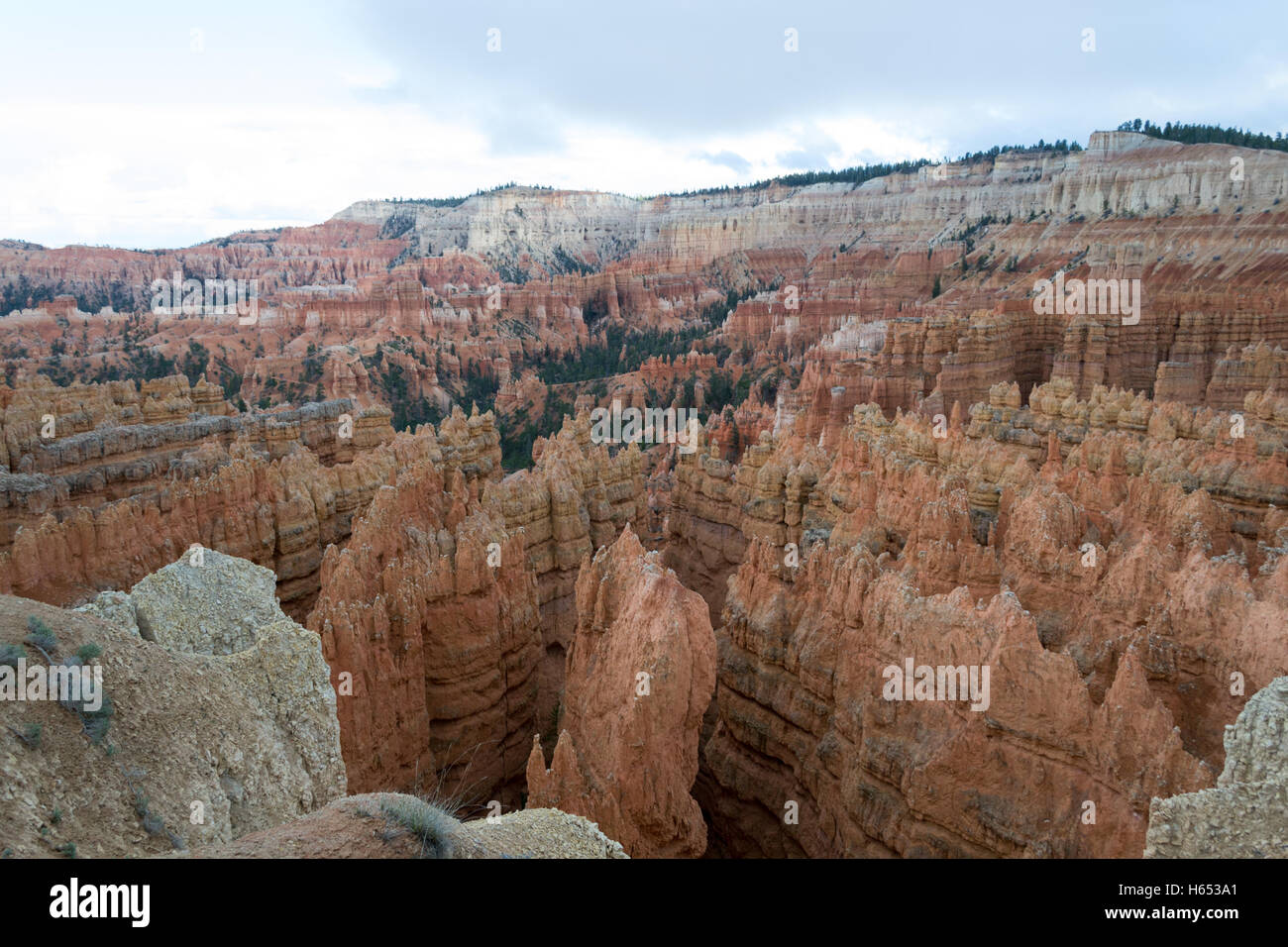 Bryce Canyon in Utah with its geological feature the Hoodoos Stock ...
