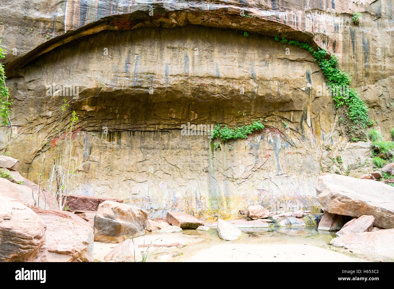 Zion National Park is located near Springdale (Utah Stock Photo - Alamy
