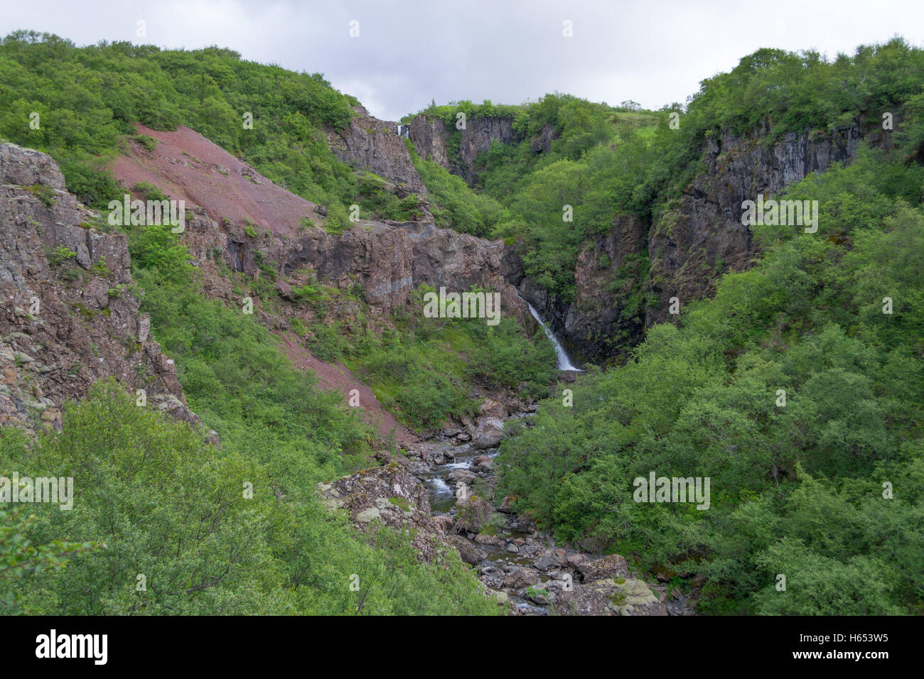 Tundra landscape in Iceland Stock Photo - Alamy