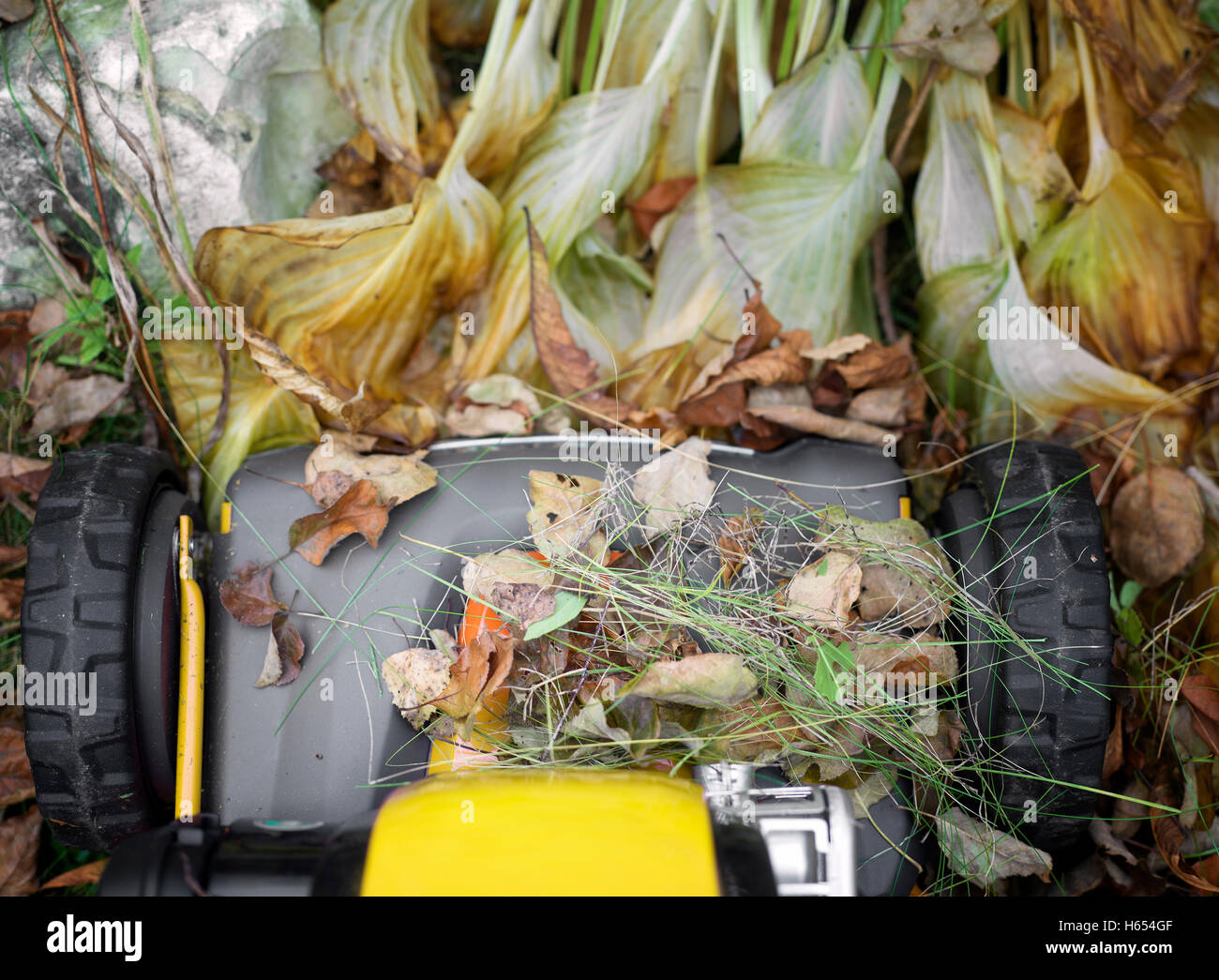 Lawn Mower In Action Stock Photo - Alamy