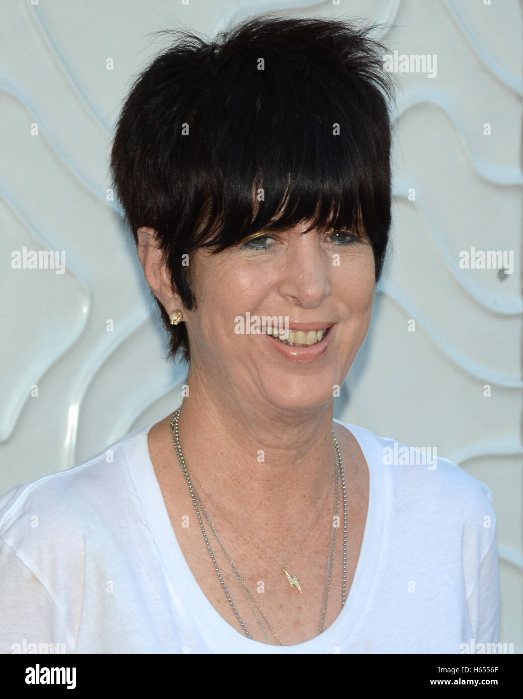 Diane Warren attends the Mercy For Animals Hidden Heroes Gala at Unici ...