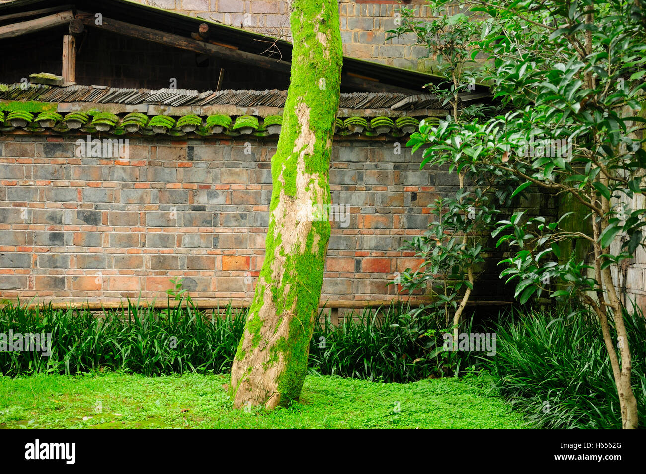 Moss village hi-res stock photography and images - Alamy