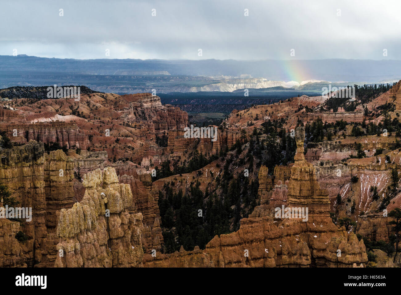 Bryce Canyon in Utah with its geological feature the Hoodoos Stock ...