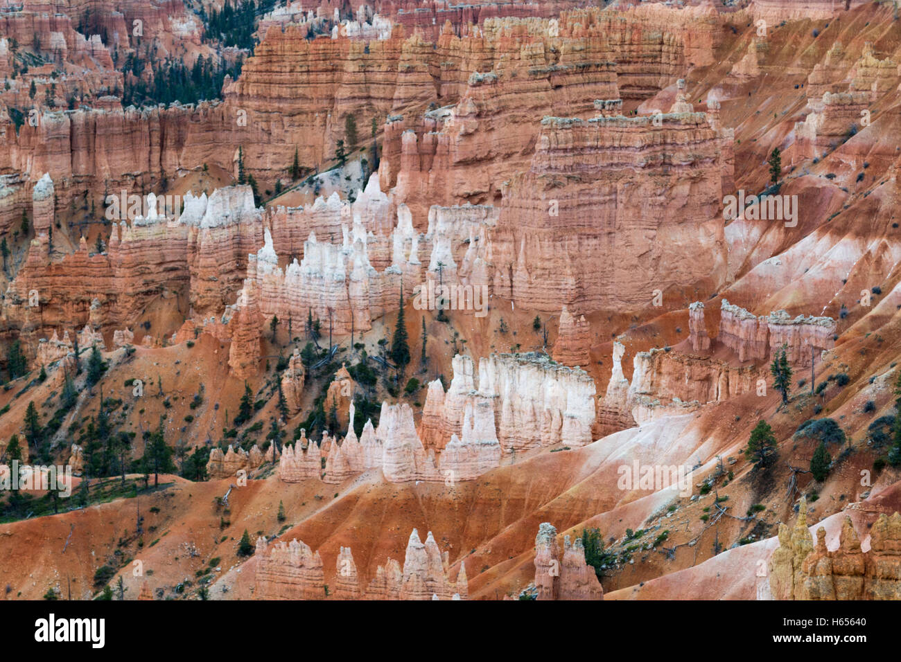 Bryce Canyon in Utah with its geological feature the Hoodoos Stock ...