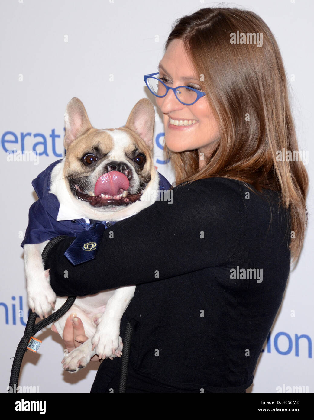 Ambassadog hi-res stock photography and images - Alamy