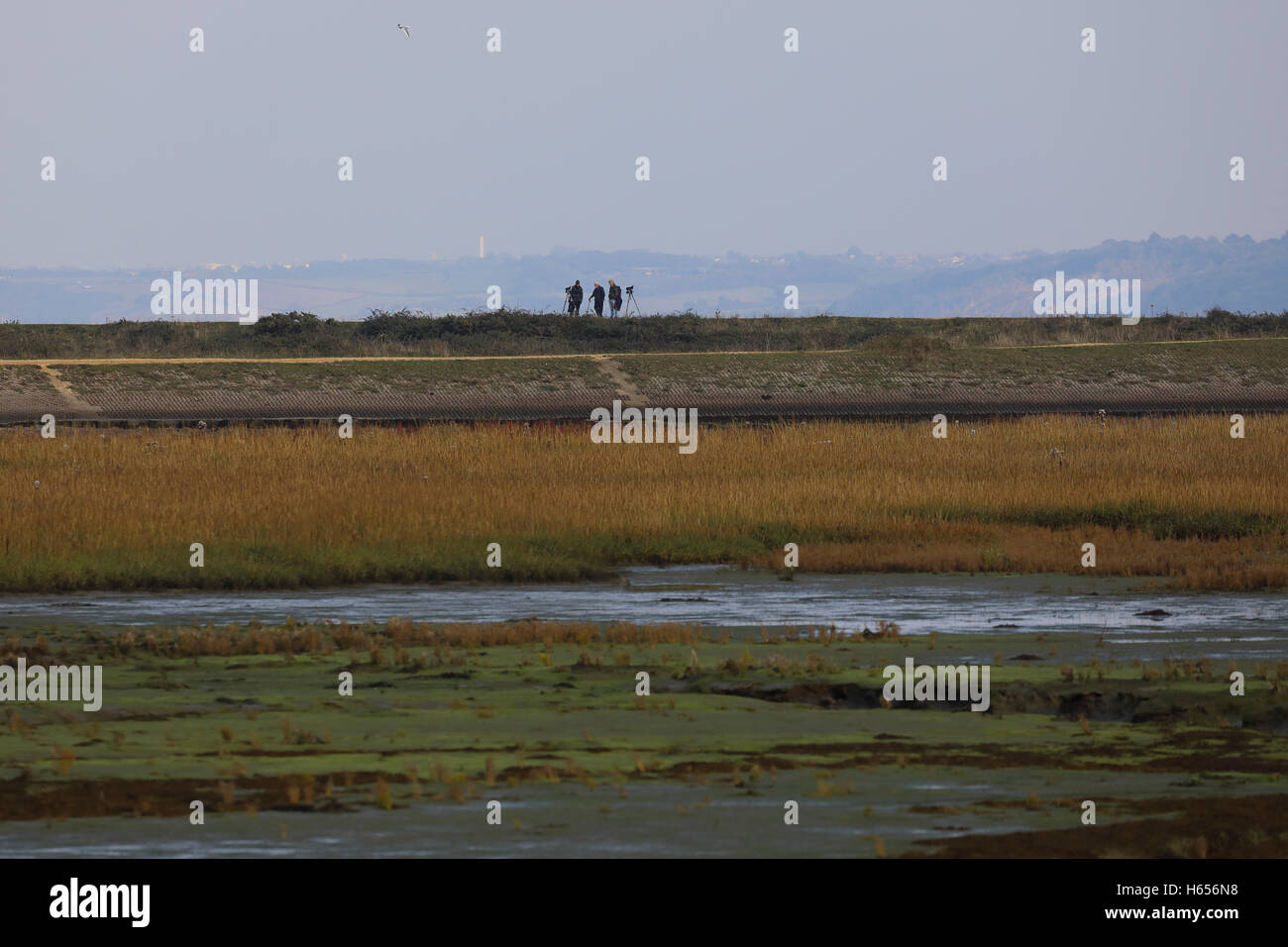 Bird watchers on the seawall near the Kehaven & Pennington Marshes ...