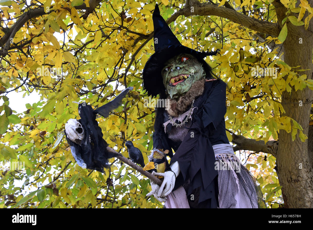 Tree witch hanging hi-res stock photography and images - Alamy