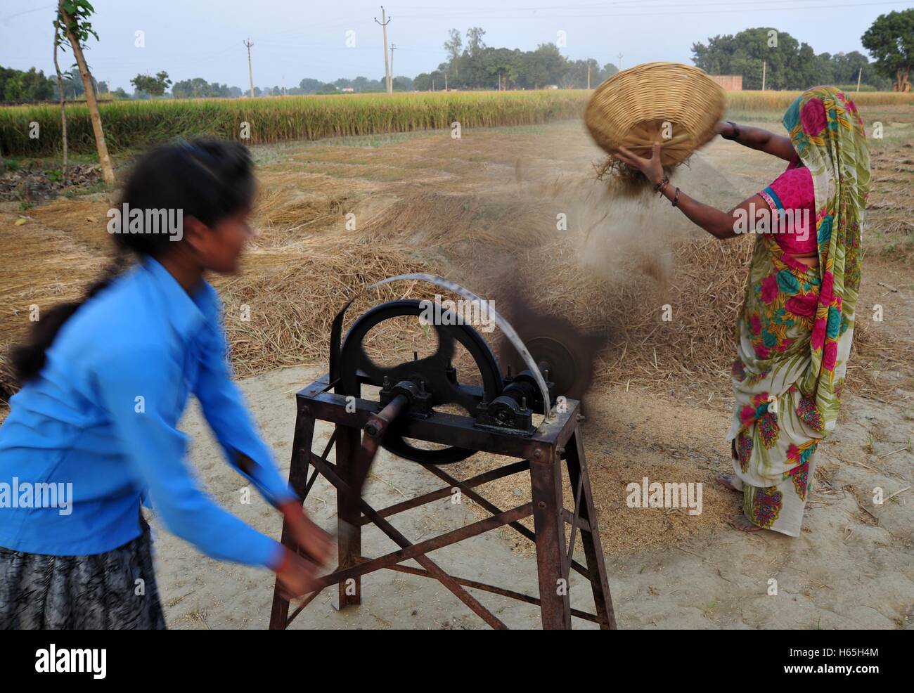 Women winnowing wheat hi-res stock photography and images - Alamy