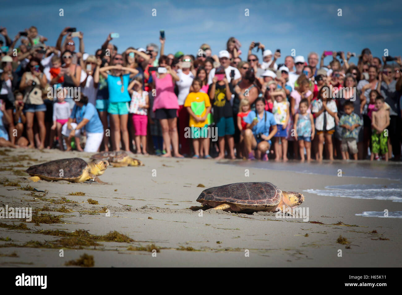 Florida, USA. 25th Oct, 2016. Crowds line the beach to watch and take ...