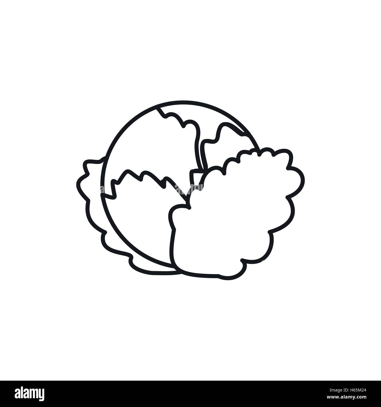 Cabbage icon, outline style Stock Vector Image & Art - Alamy