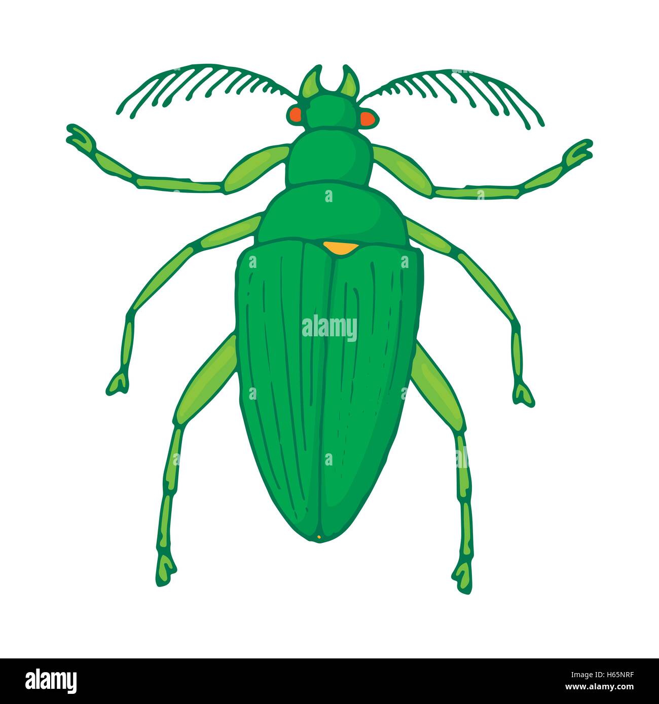 Insect bug icon, cartoon style Stock Vector Image & Art - Alamy