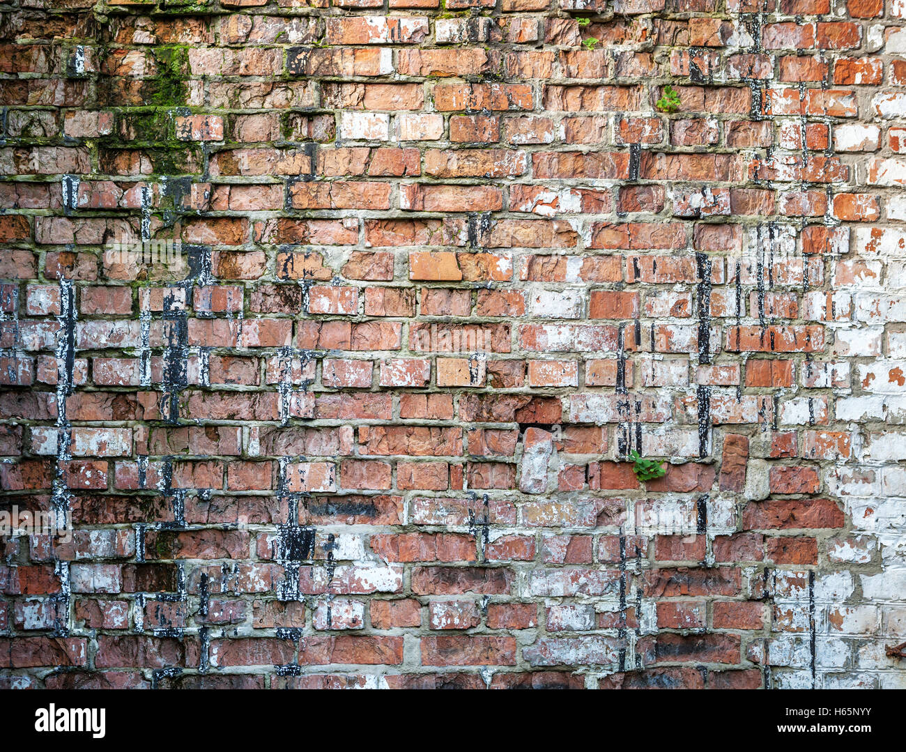 Close up of an old weathered red brick wall Stock Photo - Alamy