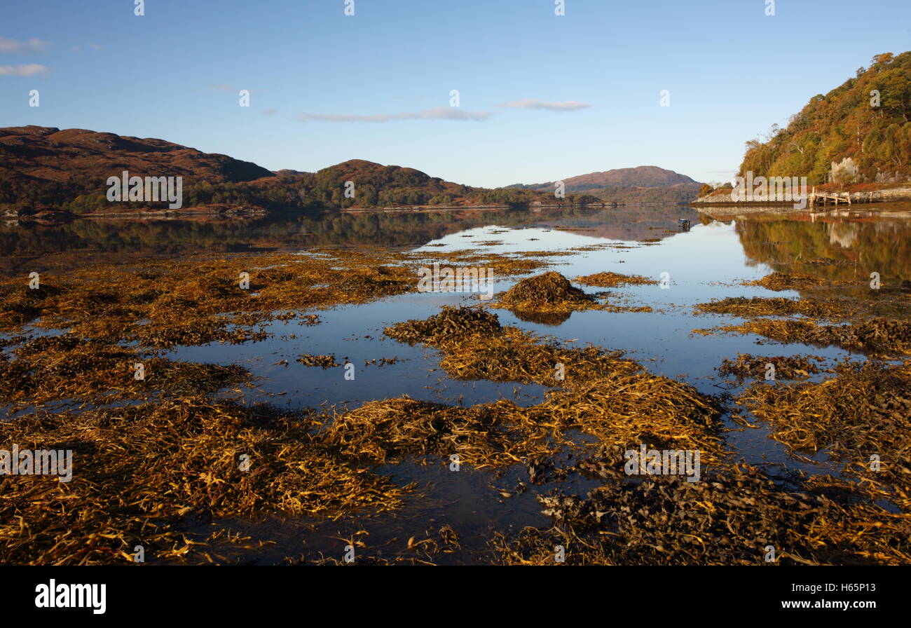 Loch moidart scotland hi-res stock photography and images - Alamy