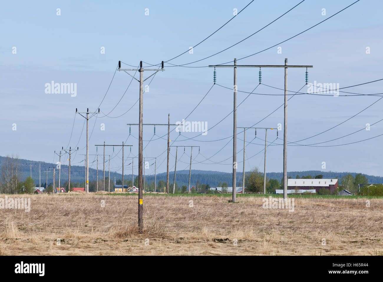 Power line in the landscape, wires and wooden pylon in the structure ...