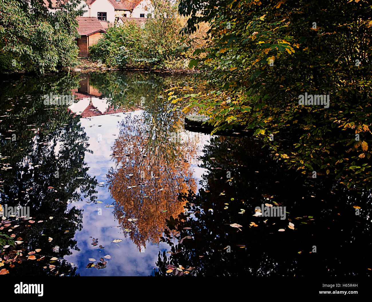 Landscape reflections on the calm waters of a small pond in autumn time ...