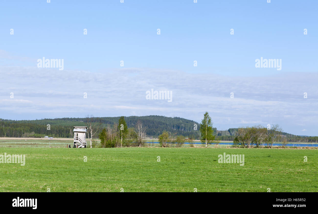 Morning view by an observation tower in spring. Sunshine and green ...
