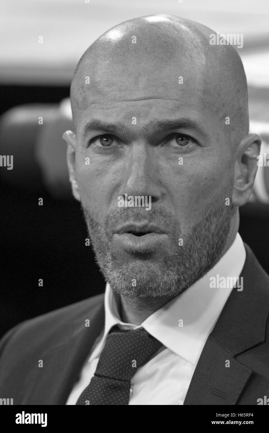 Zinedine zidane portrait hi-res stock photography and images - Alamy