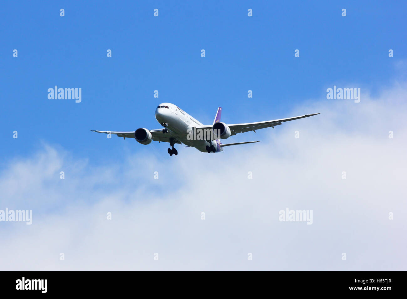 Boeing 787-800 Dreamliner HS-TQA of Thaiairway Stock Photo - Alamy