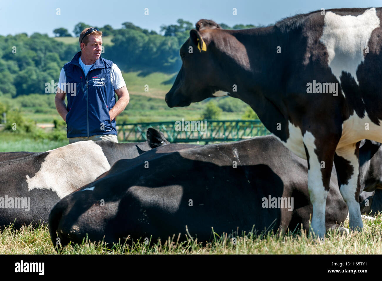 Farmer Ryan Haydon, of Offham Farm, Arundel, West Sussex, with some of ...